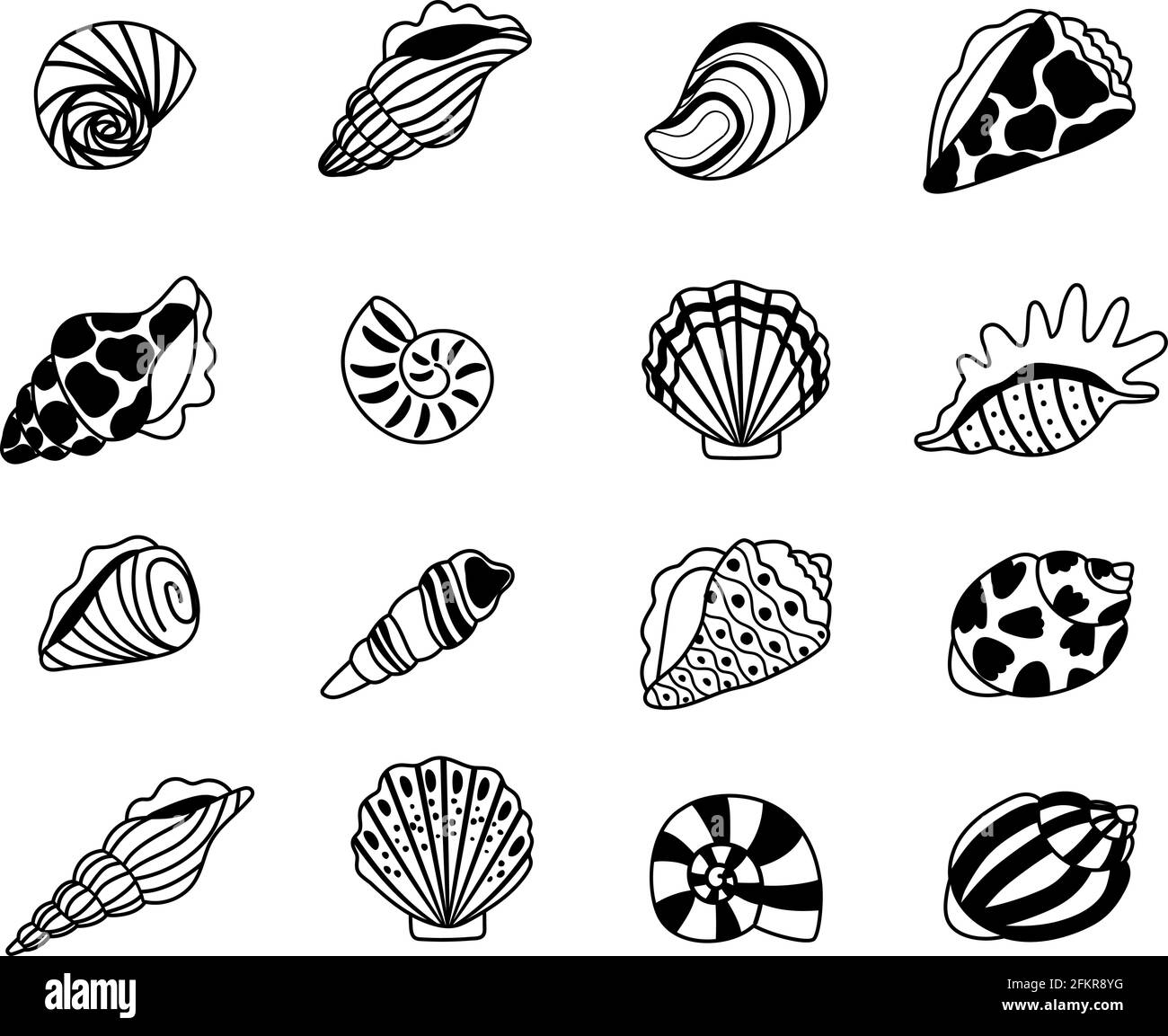 Seashells Sketch