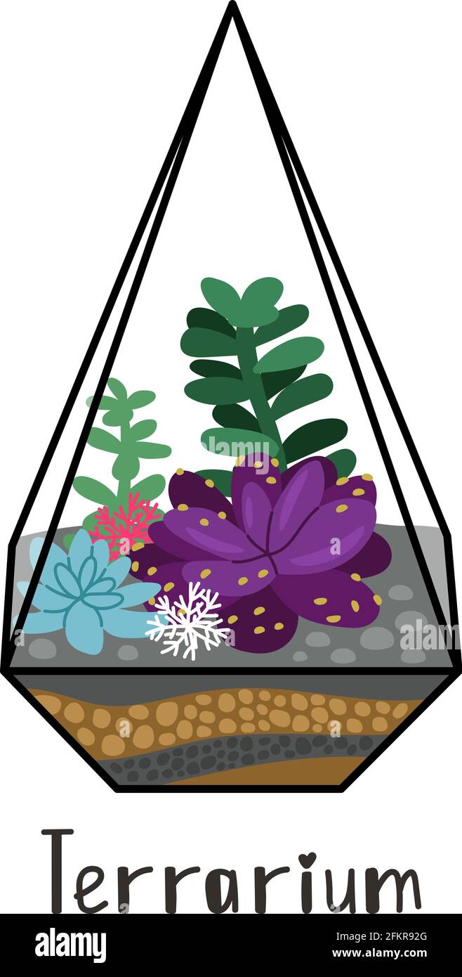 Terrarium Illustration