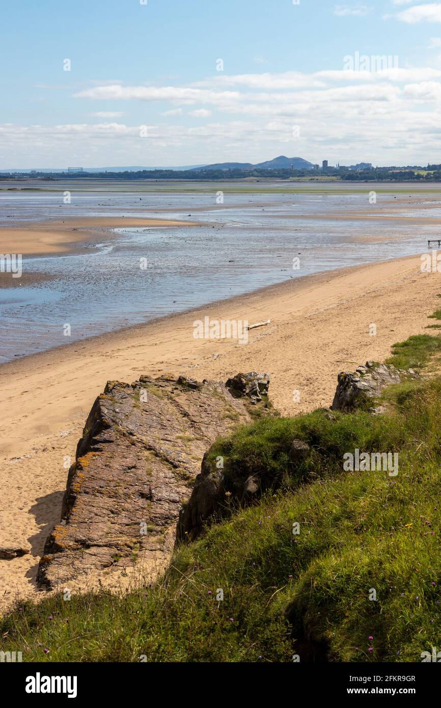 Hound point to point hi-res stock photography and images - Alamy