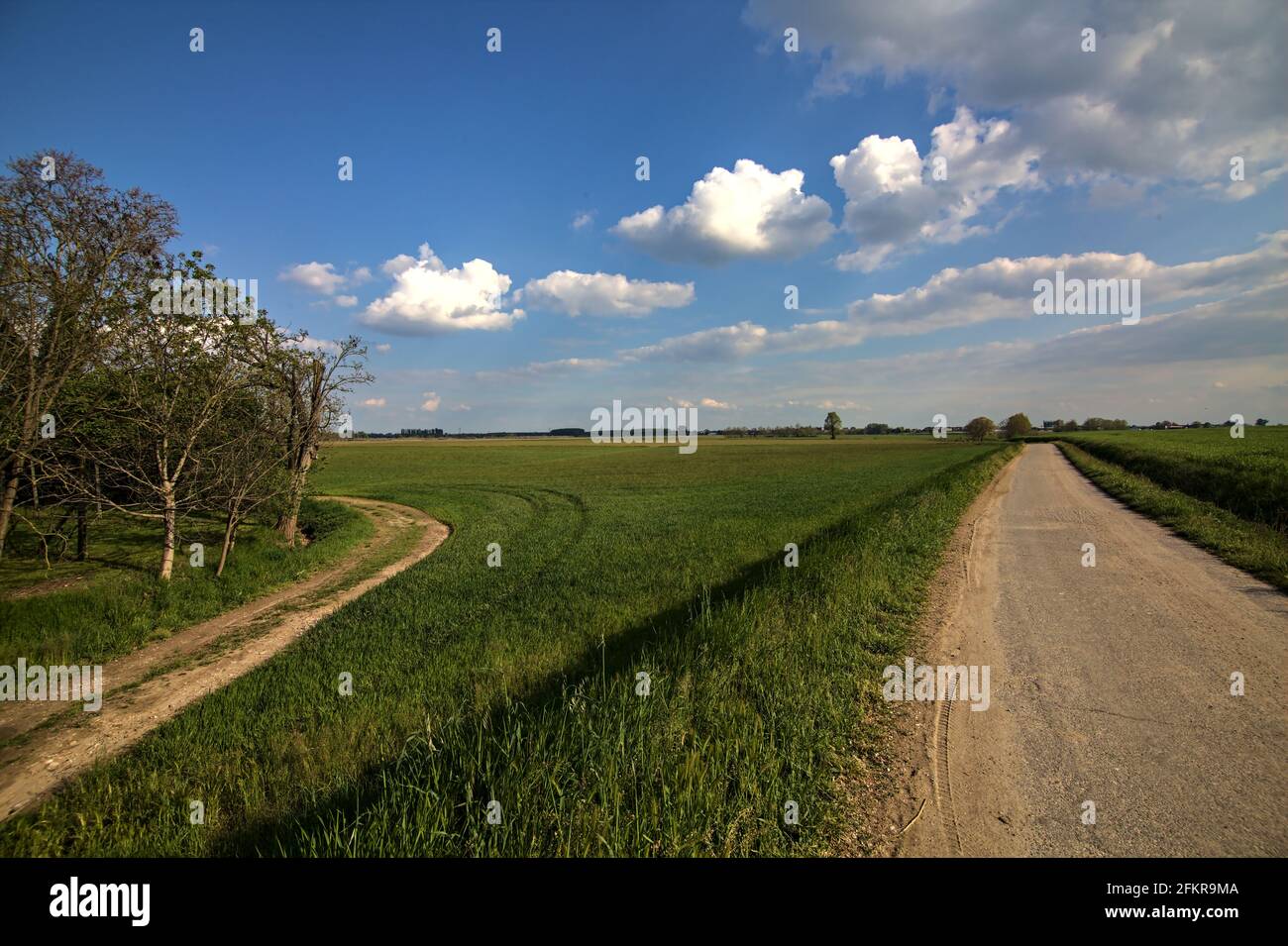 Beautiful countryside road crossing fields hi-res stock photography and ...