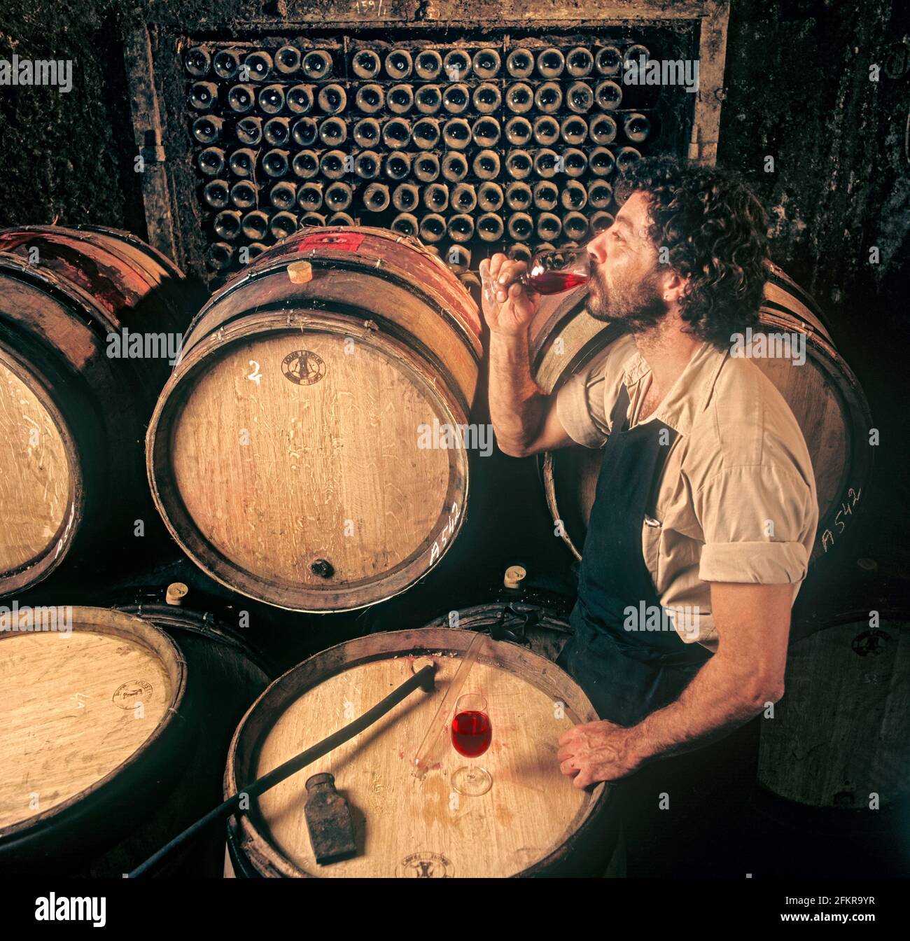 Pinot noir cellar tasting sample hi-res stock photography and images ...