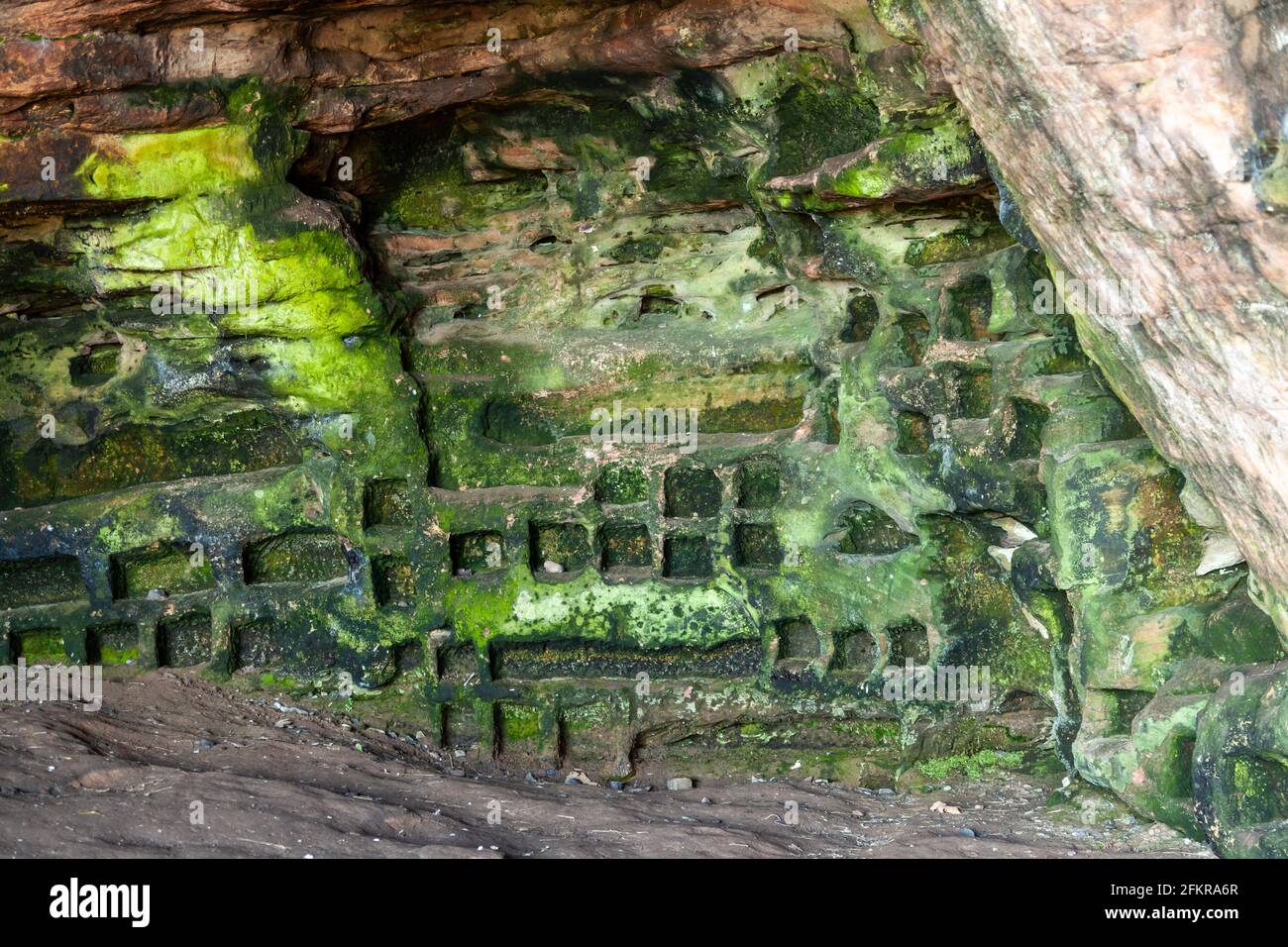 Doo Cave Used as a doocot in the Middle Ages, there are still pigeon ...