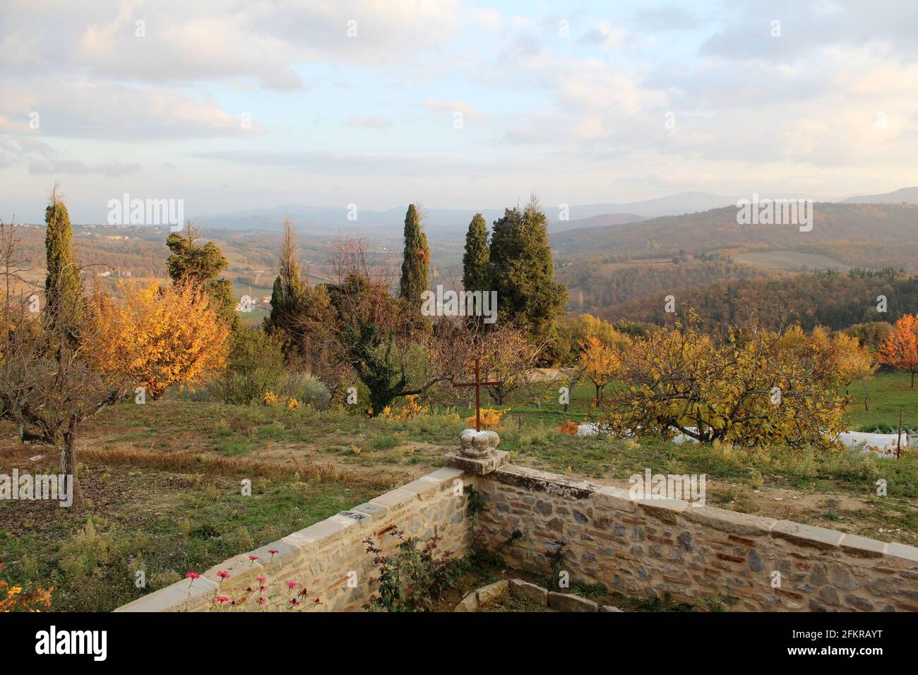 Tuscan landscape with tall trees and stone fence Stock Photo - Alamy