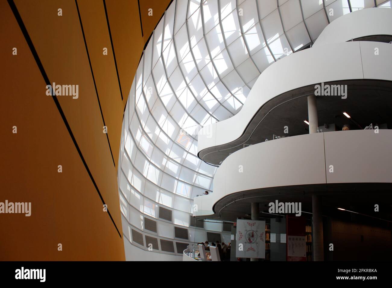 Free brain hi-res stock photography and images - Alamy