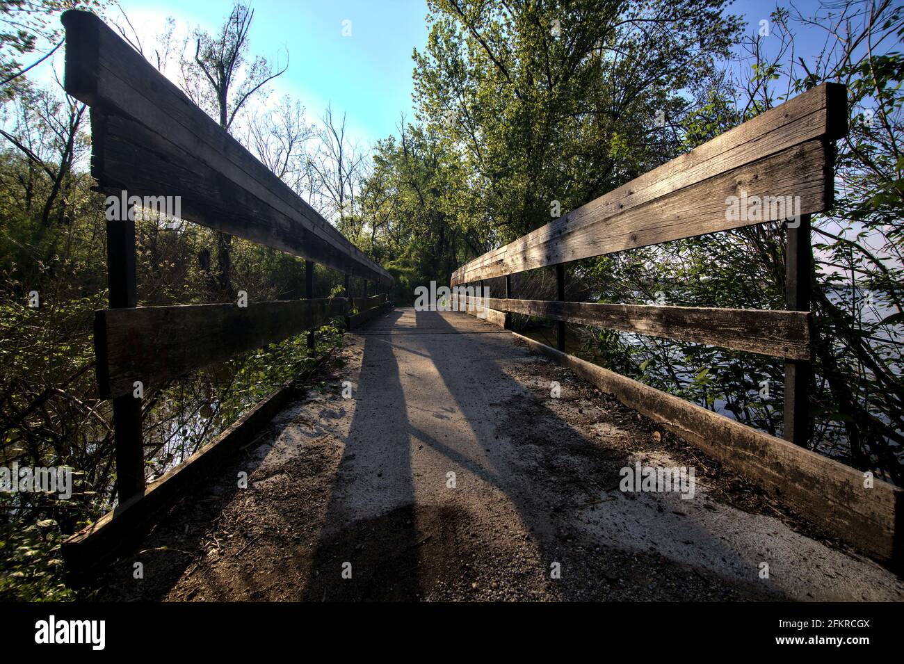 Wooden bridge in a grove Stock Photo - Alamy
