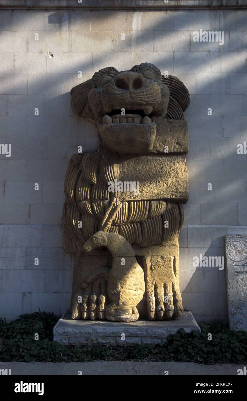 A Palmyrene Lion statue in National Museum of Damascus, Damascus, Syria ...