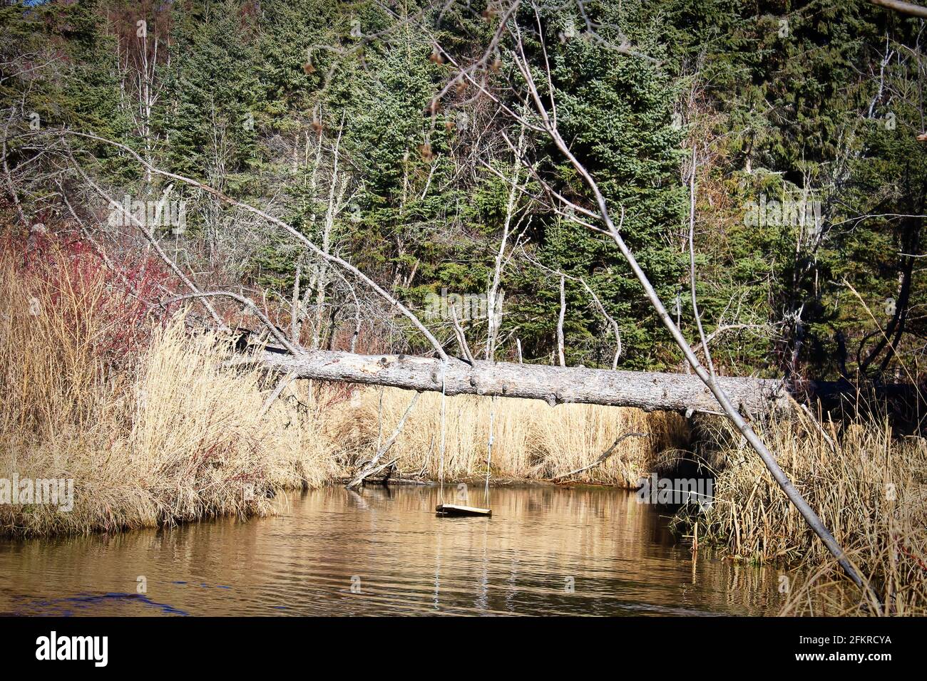 Swing over water hi-res stock photography and images - Alamy