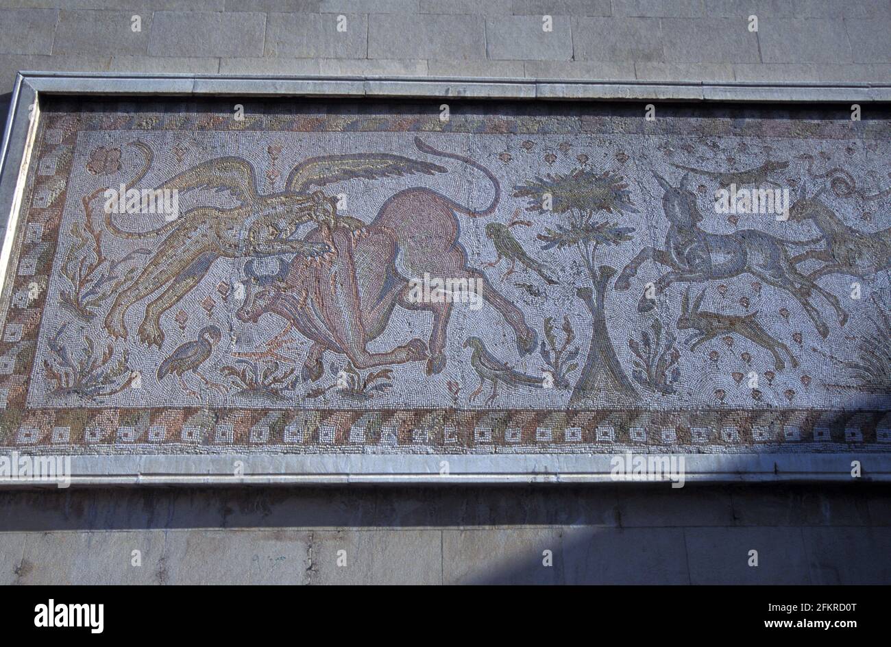Roman mosaic in National Museum of Damascus, Damascus, Syria Stock ...