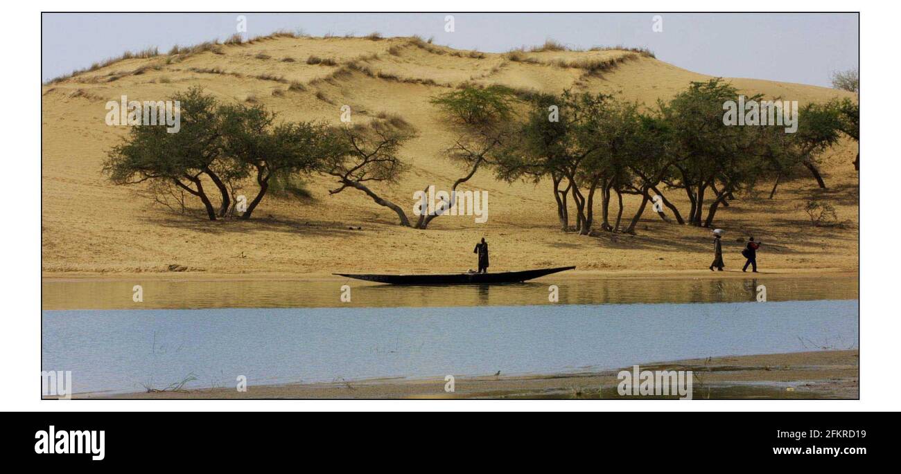 Trees struggle against the ever moving Sahara desert on the banks of ...