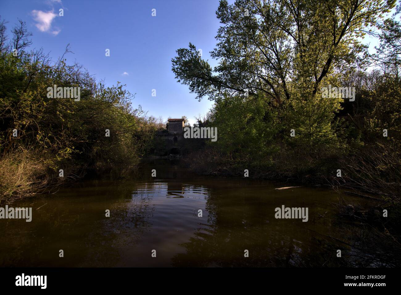 Old weir hidden by trees in an inlet of a river in the italian ...