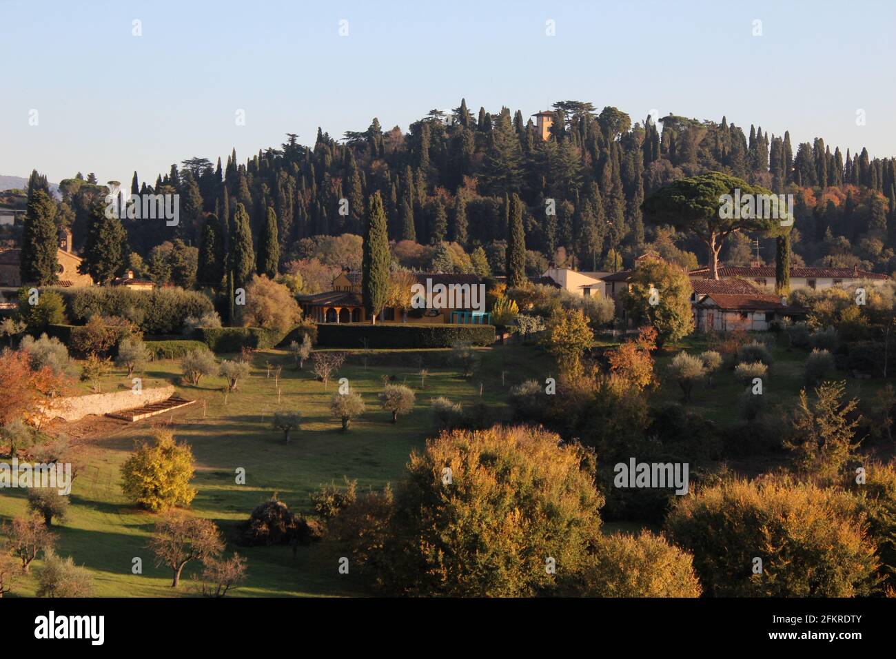 Tuscan Landscape with lush Italian trees and rural buildings Stock ...