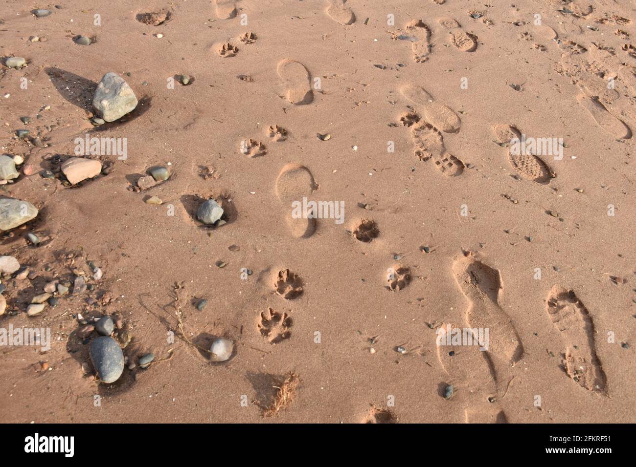 Footsteps on sand in hi-res stock photography and images - Alamy