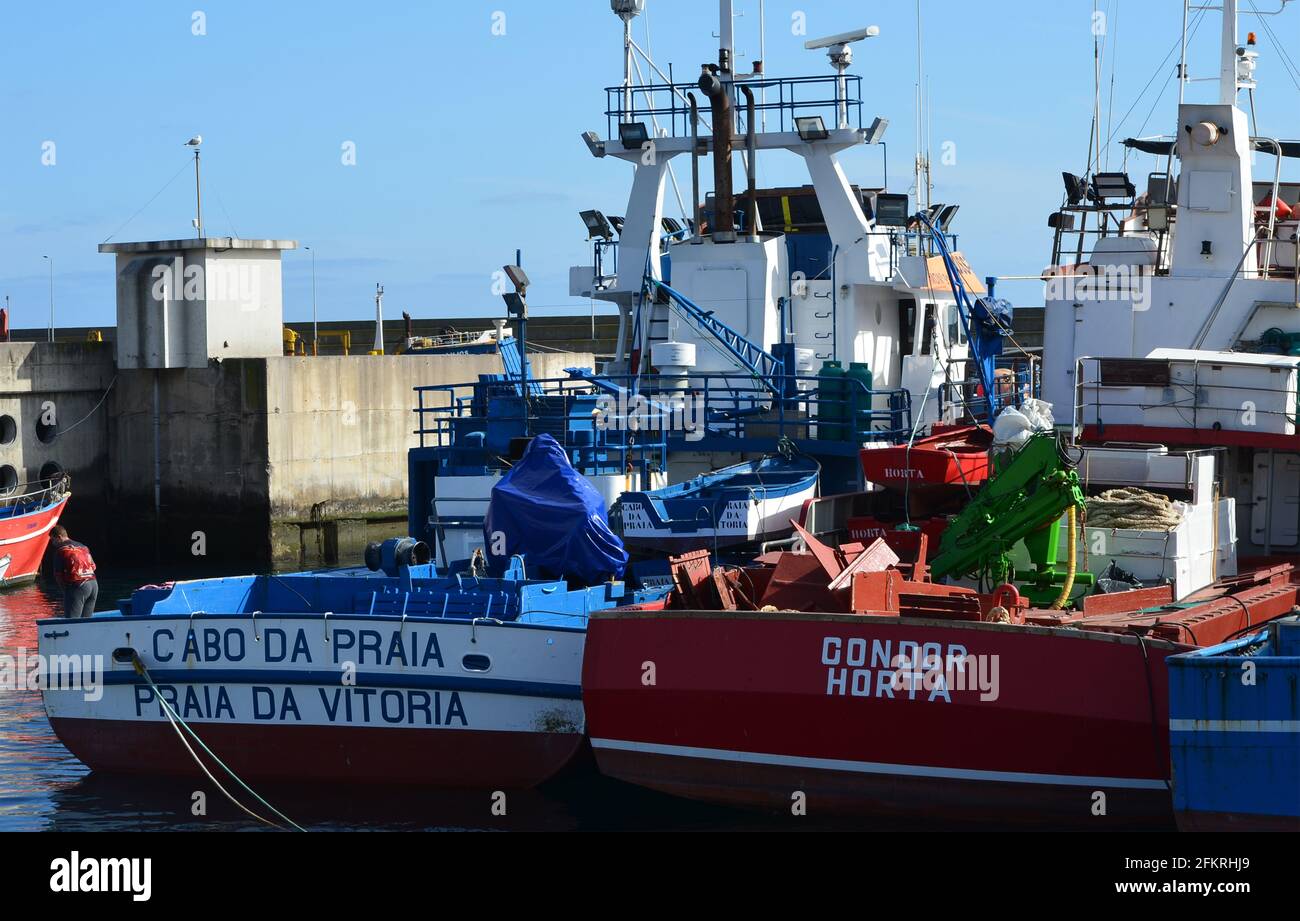 The Portuguese pole-and-line tuna fishing fleet, based in Caniçal ...