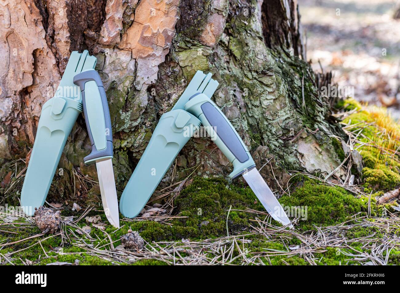 Two similar knives with different handles. Knives with different steel ...