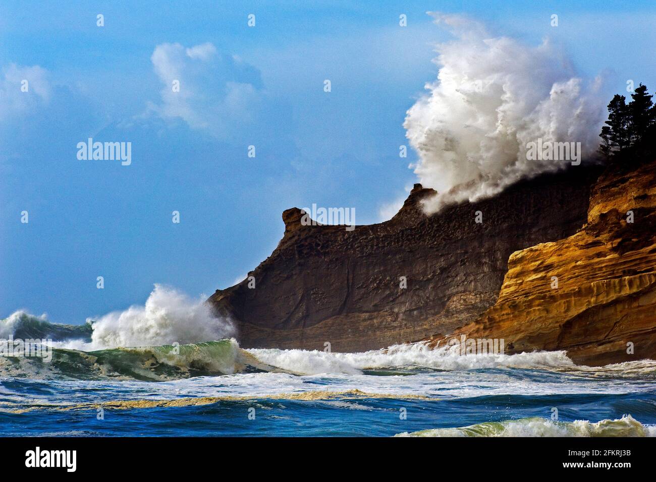 Wave crashing over driftwood hi-res stock photography and images - Alamy