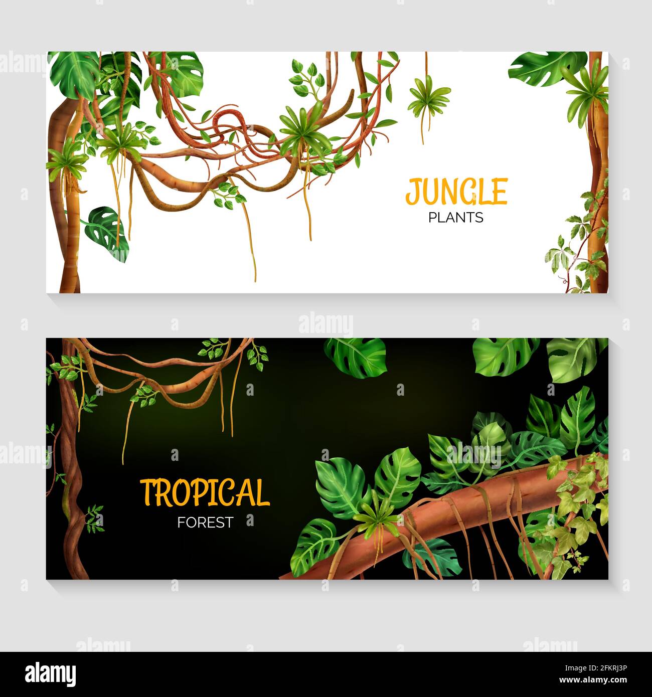 Tropical rainforest jungle plants 2 day night realistic horizontal ...