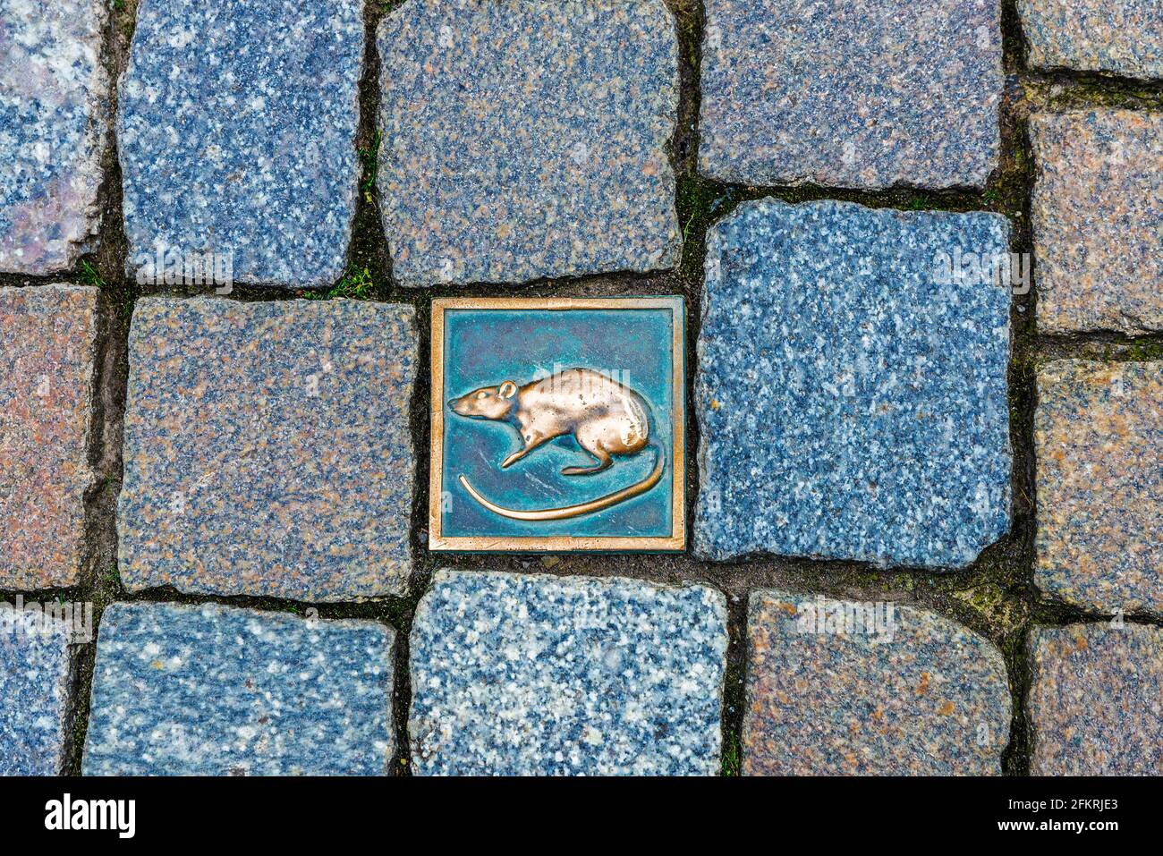 Hamelin, Germany - August 20, 2019: The metal rat, tile with a rat ...