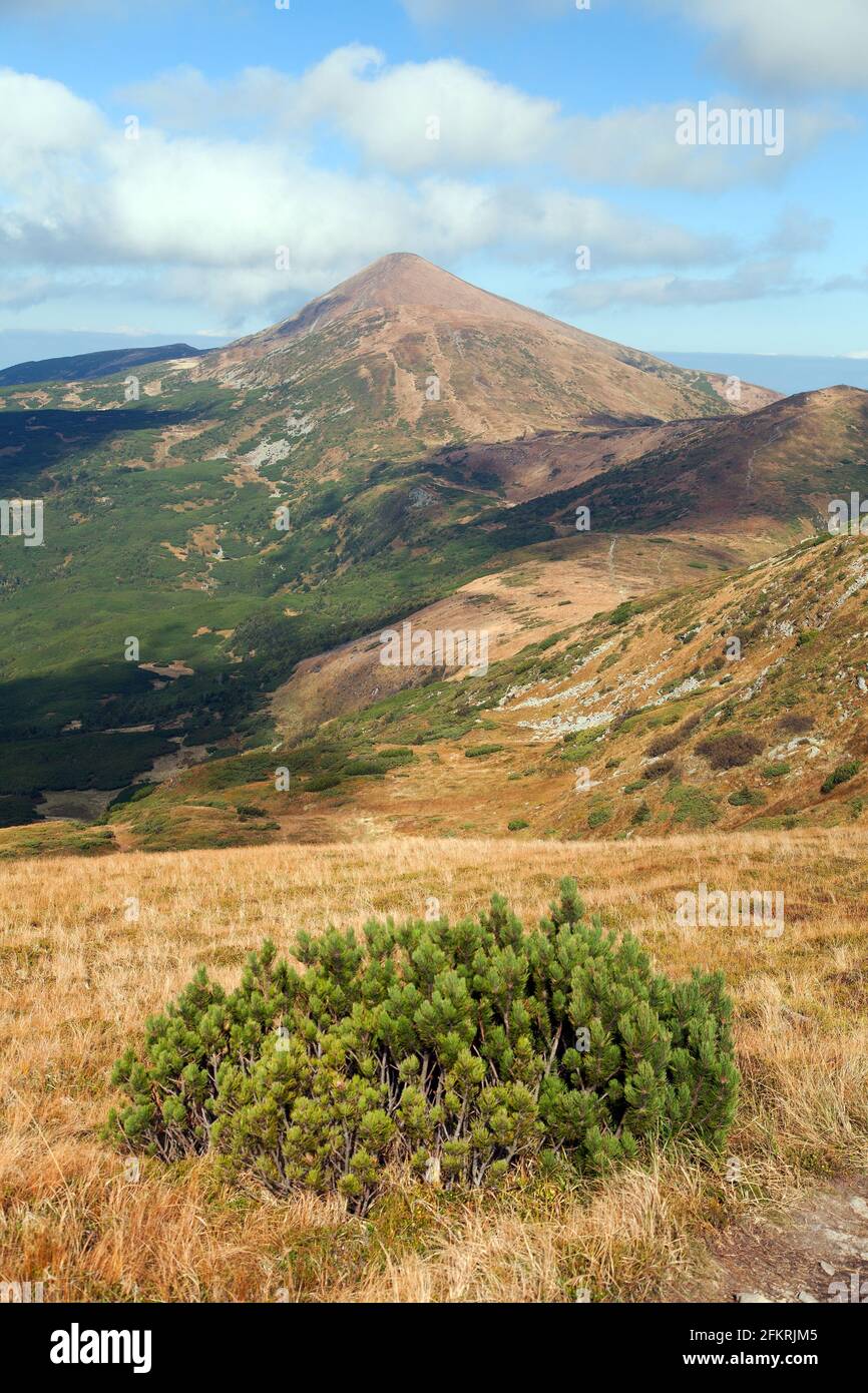 Mount Hoverla or Goverla, Ukraine Karpathian mountains, the highest ...
