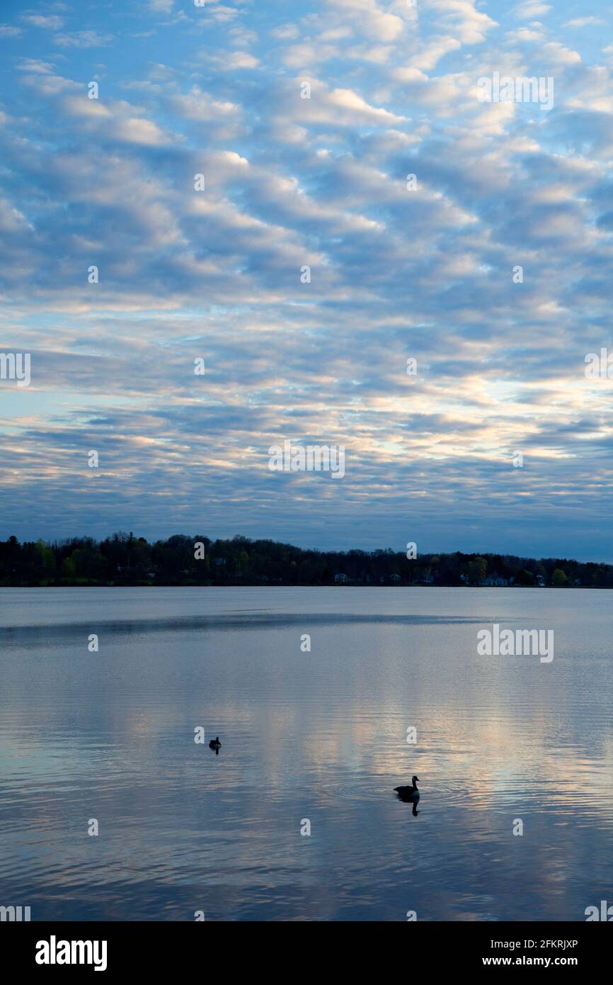 Batterson Park Pond dawn with goose, Batterson Park Pond State Boat ...