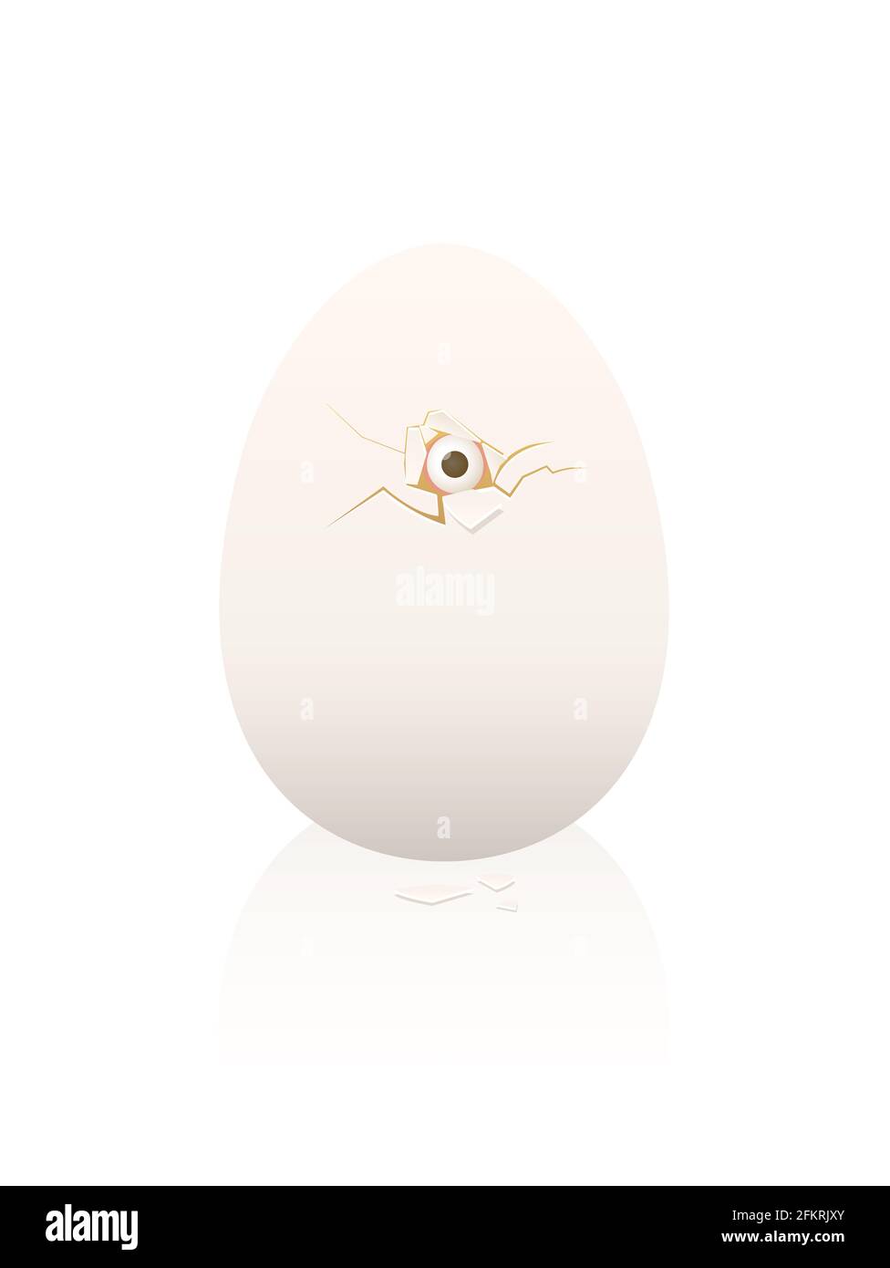 Chick hatching egg hi-res stock photography and images - Alamy