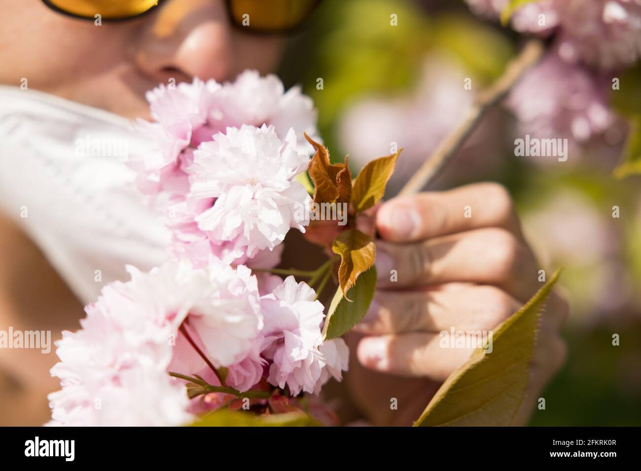 Man wearing a face mask and smelling the pink flowers on the tree Stock ...