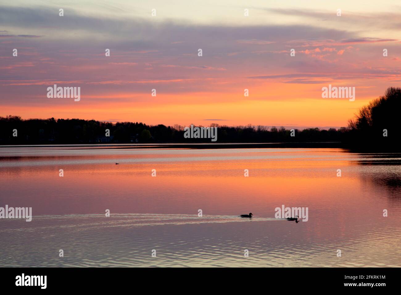 Batterson Park Pond dawn with ducks, Batterson Park Pond State Boat ...