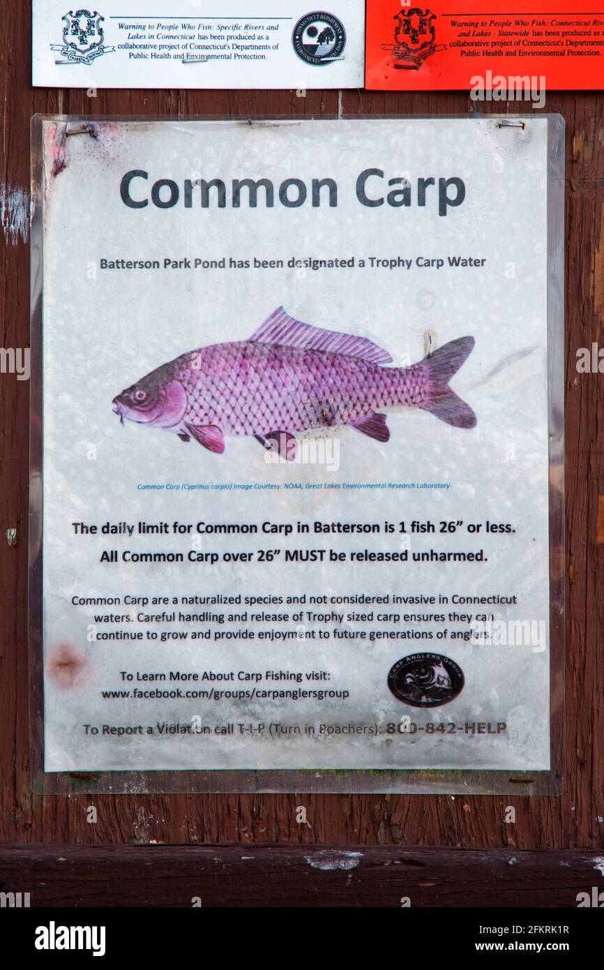 Carp fishing notice, Batterson Park Pond State Boat Launch, New Britain ...