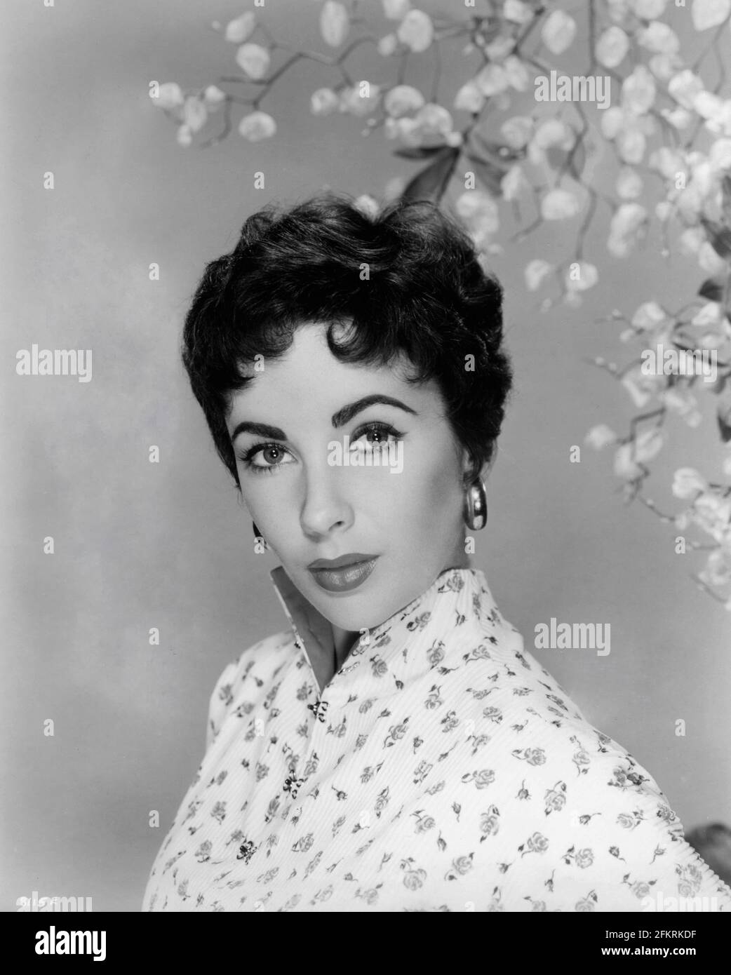 ELIZABETH TAYLOR circa 1954 Portrait publicity for Metro Goldwyn Mayer ...