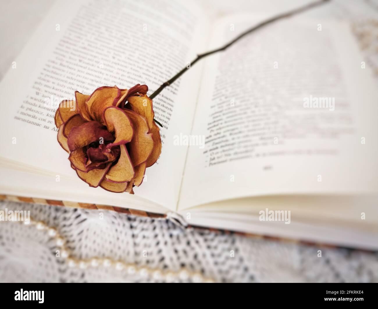 Closeup shot of an open book with beads and a beautiful dried flower ...