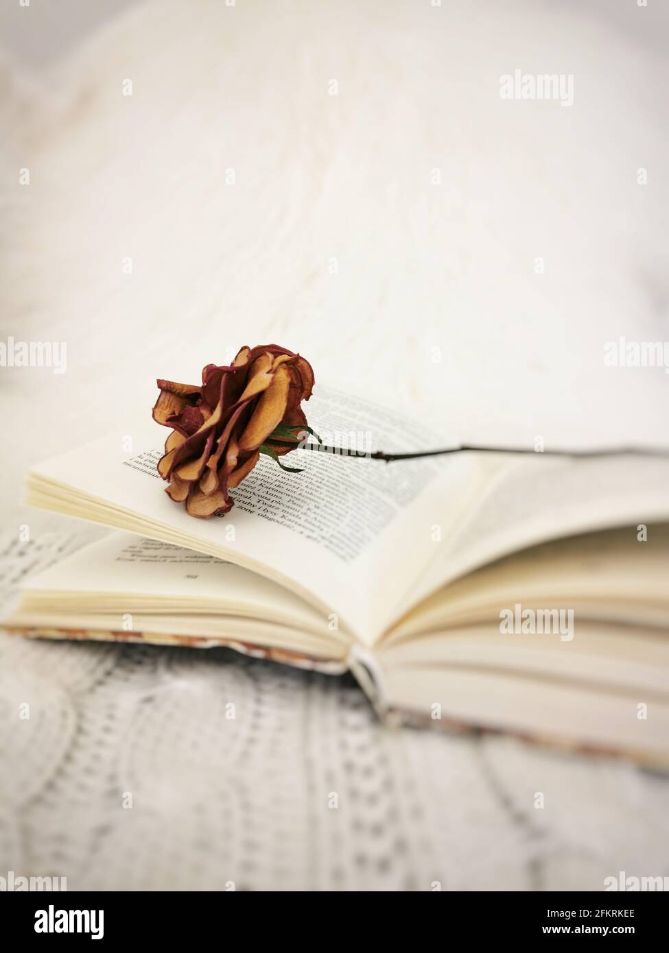 Closeup shot of an open book with beads and a beautiful dried flower ...