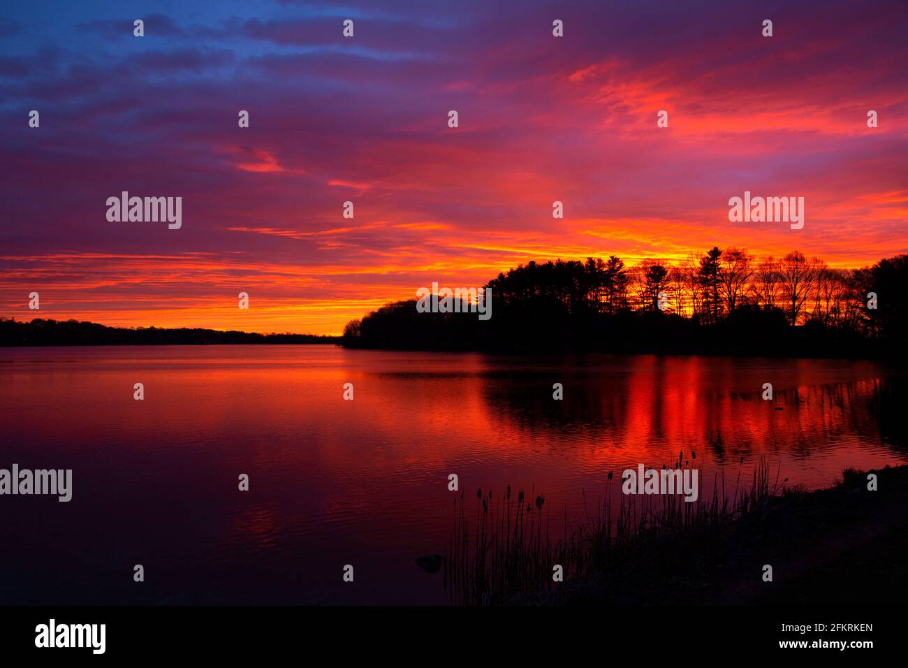 Batterson Park Pond sunrise with cattails, Batterson Park Pond State ...