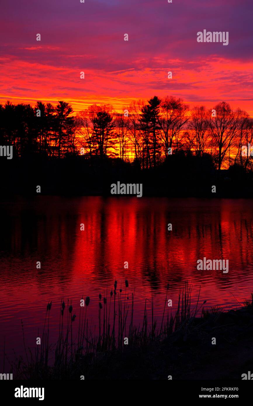 Batterson Park Pond sunrise with cattails, Batterson Park Pond State ...