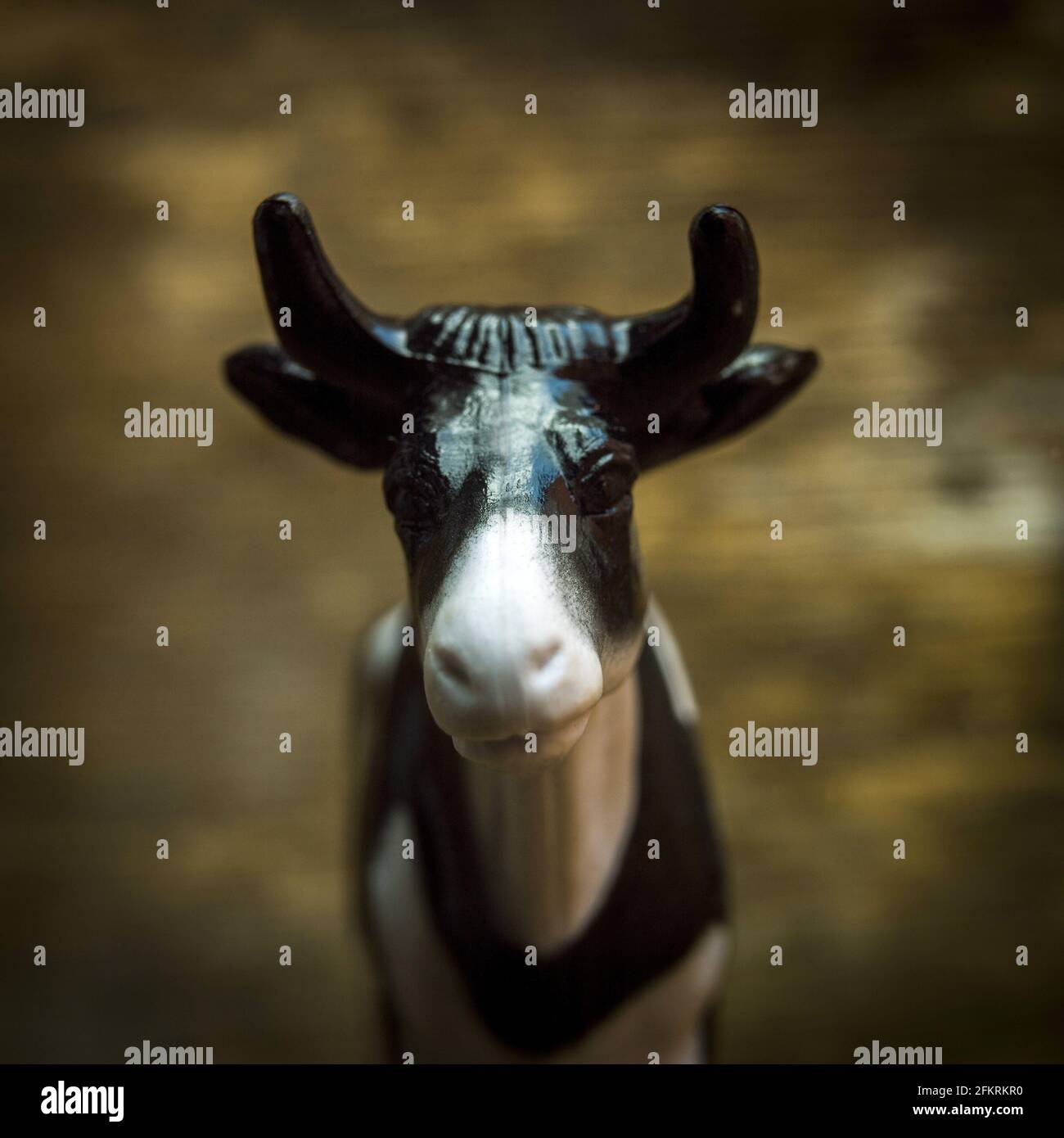 A closeup shot of a cute cow toy face Stock Photo - Alamy