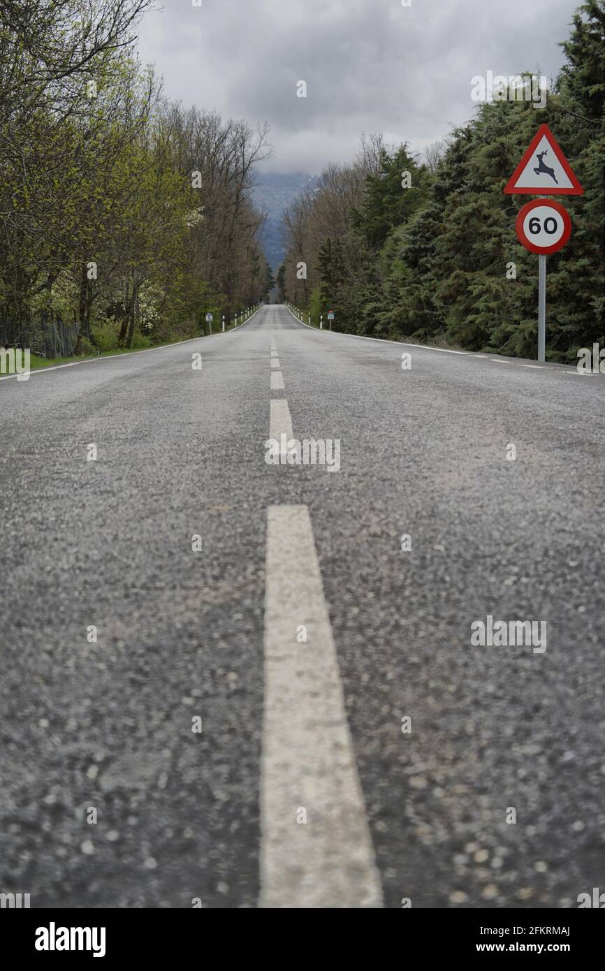 Vertical shot of an asphalt road with warning signs on a landscape ...