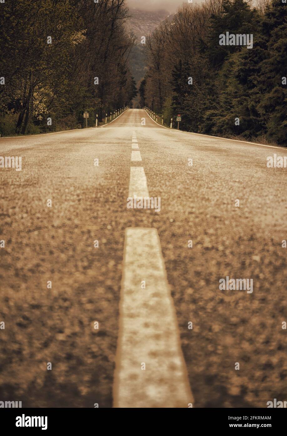 Vertical shot of an asphalt road with warning signs on a landscape ...