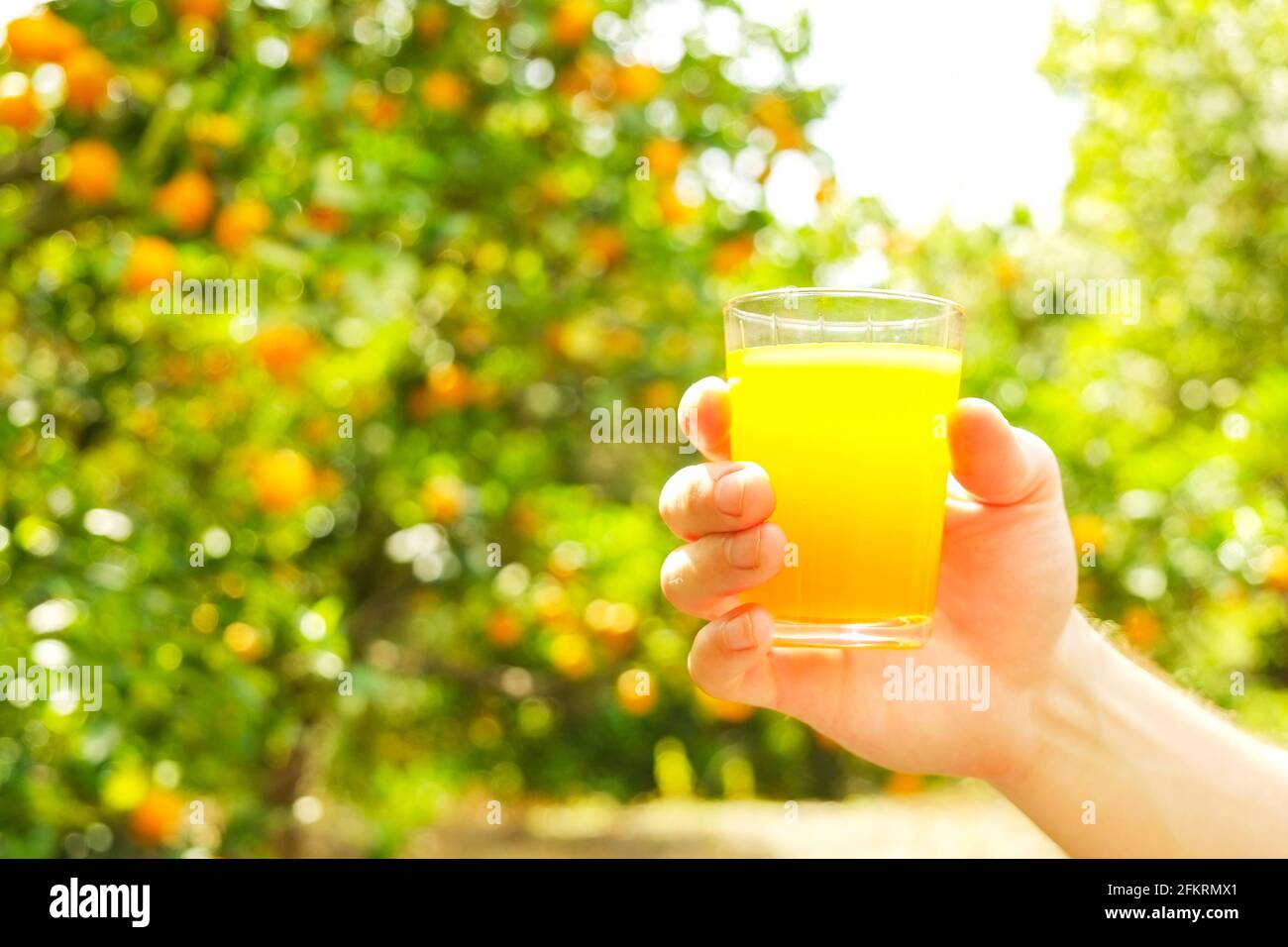 Holding glass orange juice outdoor hi-res stock photography and images ...