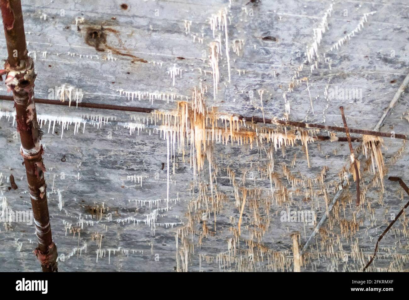 Detroit, Michigan - Concrete stalactites hanging from the ceiling of ...