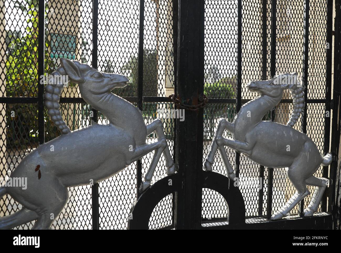 Cairo egypt zoo hi-res stock photography and images - Alamy
