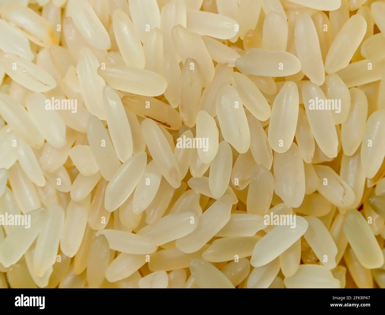 Close up white grains of rice, peeled rice, background close-up Stock ...