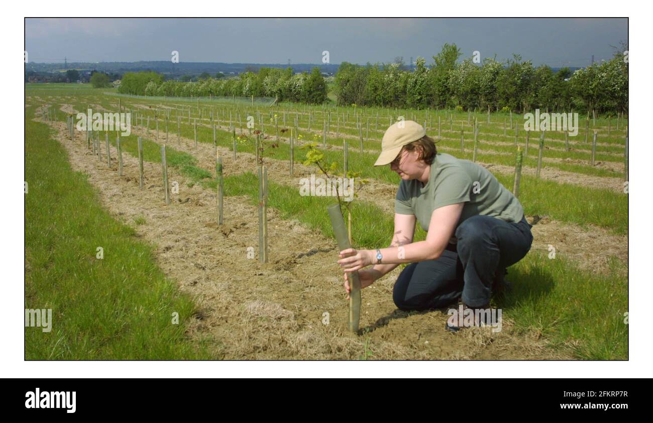 Thames Chase Community Forest....Broadfields Farm home to the Thames ...