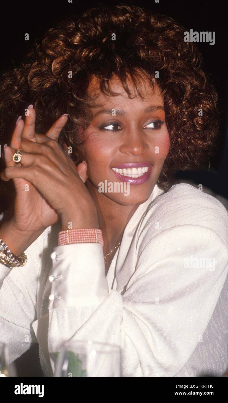 Whitney Houston 1989 Photo By John Barrett/PHOTOlink Stock Photo - Alamy