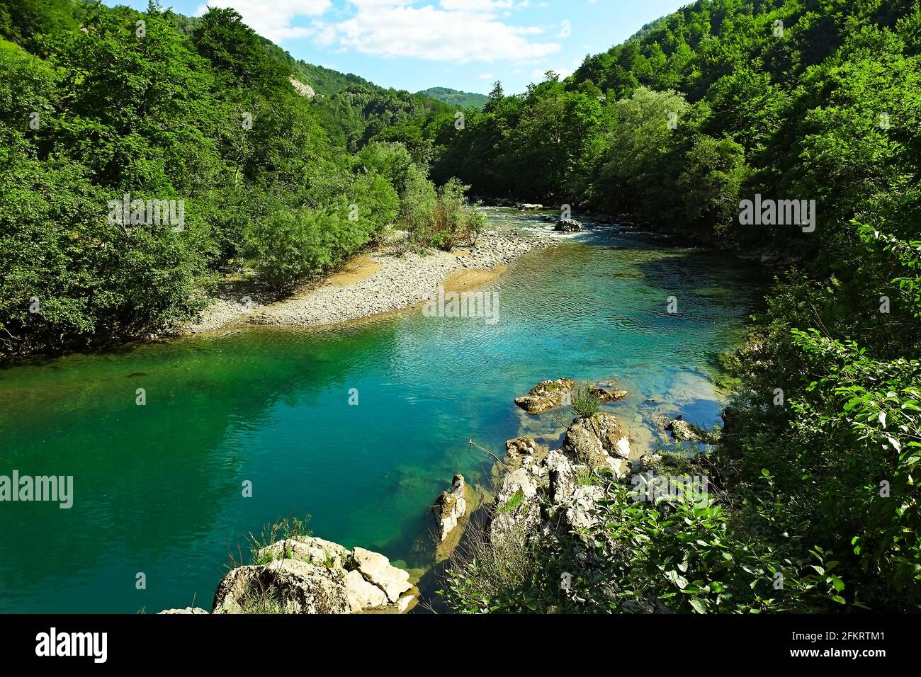Wild nature untouched, Montenegro mountain Biograd river floating in ...