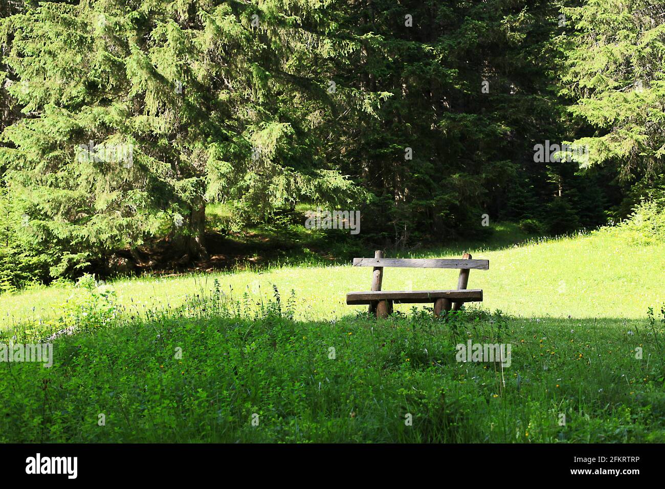 Parkbench view hi-res stock photography and images - Alamy