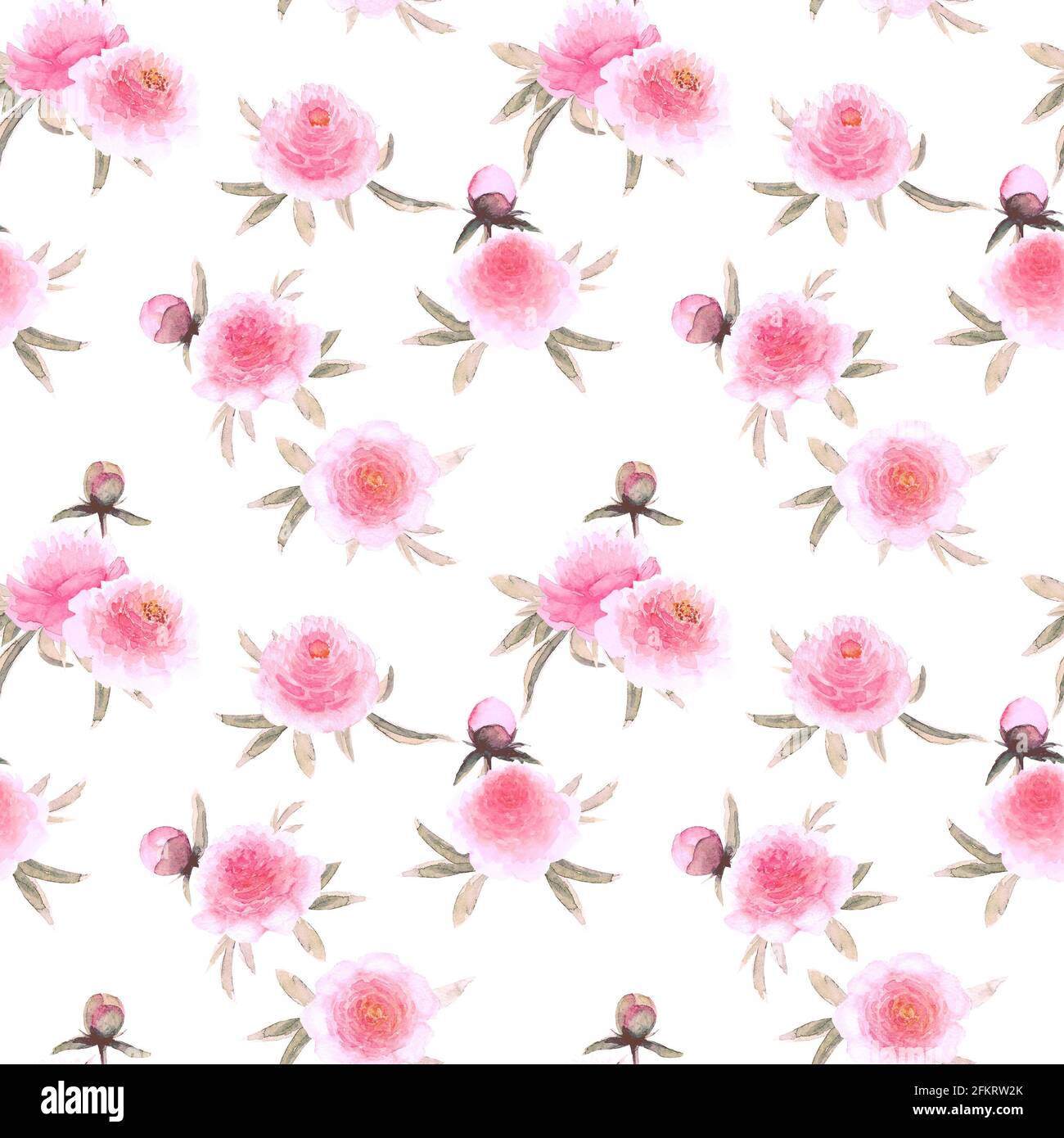 Pastel pink peonies Cut Out Stock Images & Pictures - Alamy