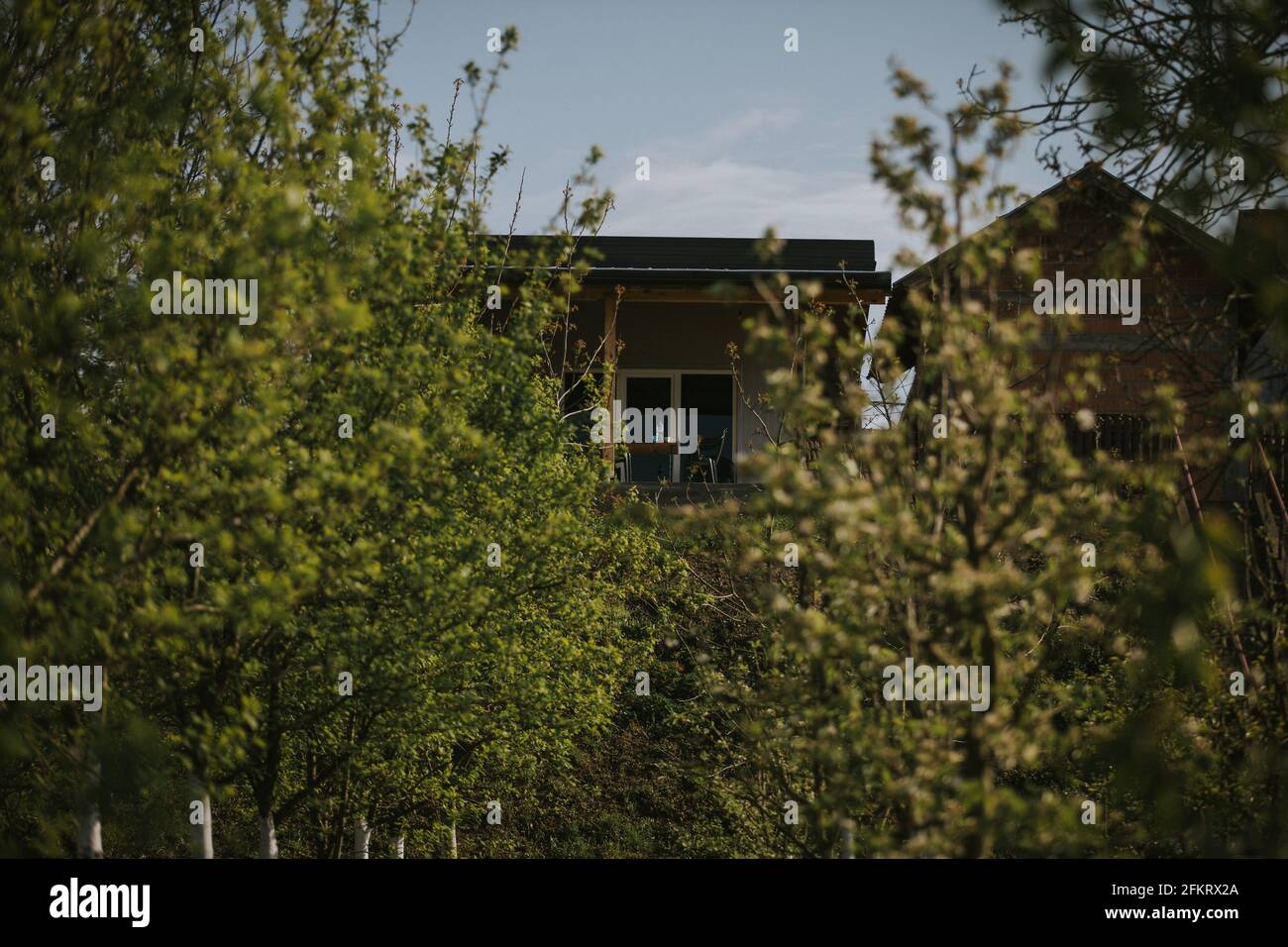 Low angle shot of a country house terrace with trees in the foreground ...