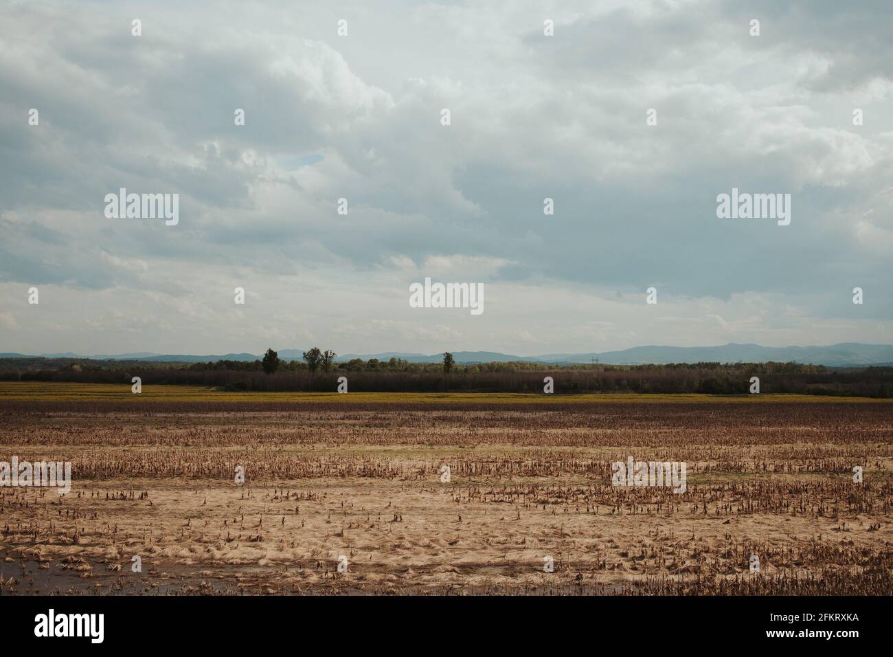 Vast dry field of grass with distant trees and hills in the background ...