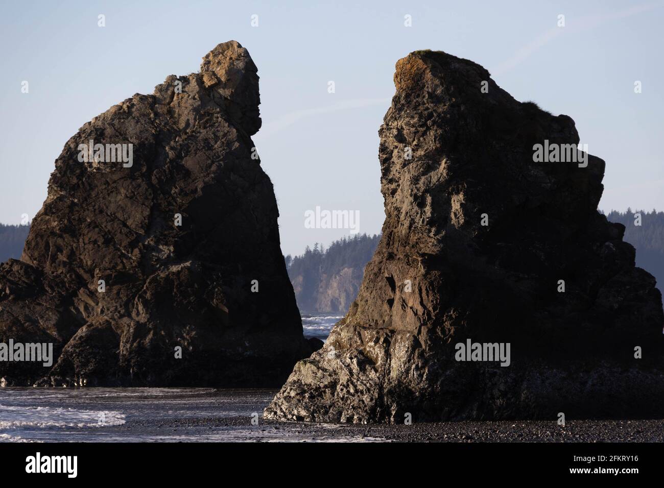 Sea stacks on the coast of Olympic National Park on Ruby Beach with ...