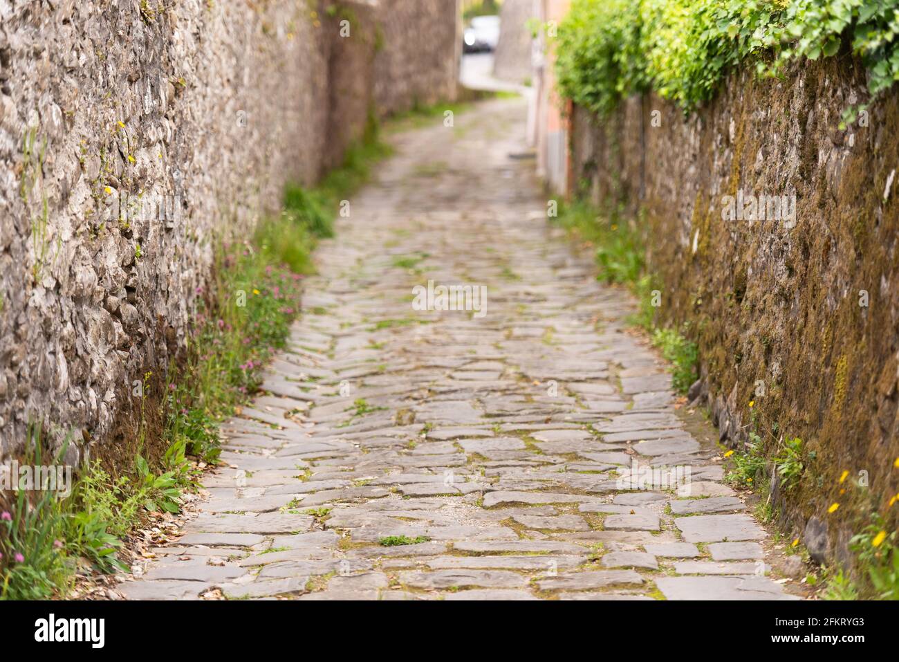 A narrow street in the old town. A very pleasant street with stone ...
