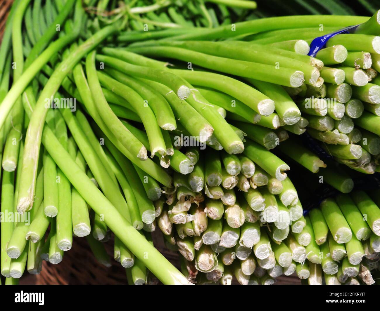 Fresh garlic sprouts Stock Photo - Alamy