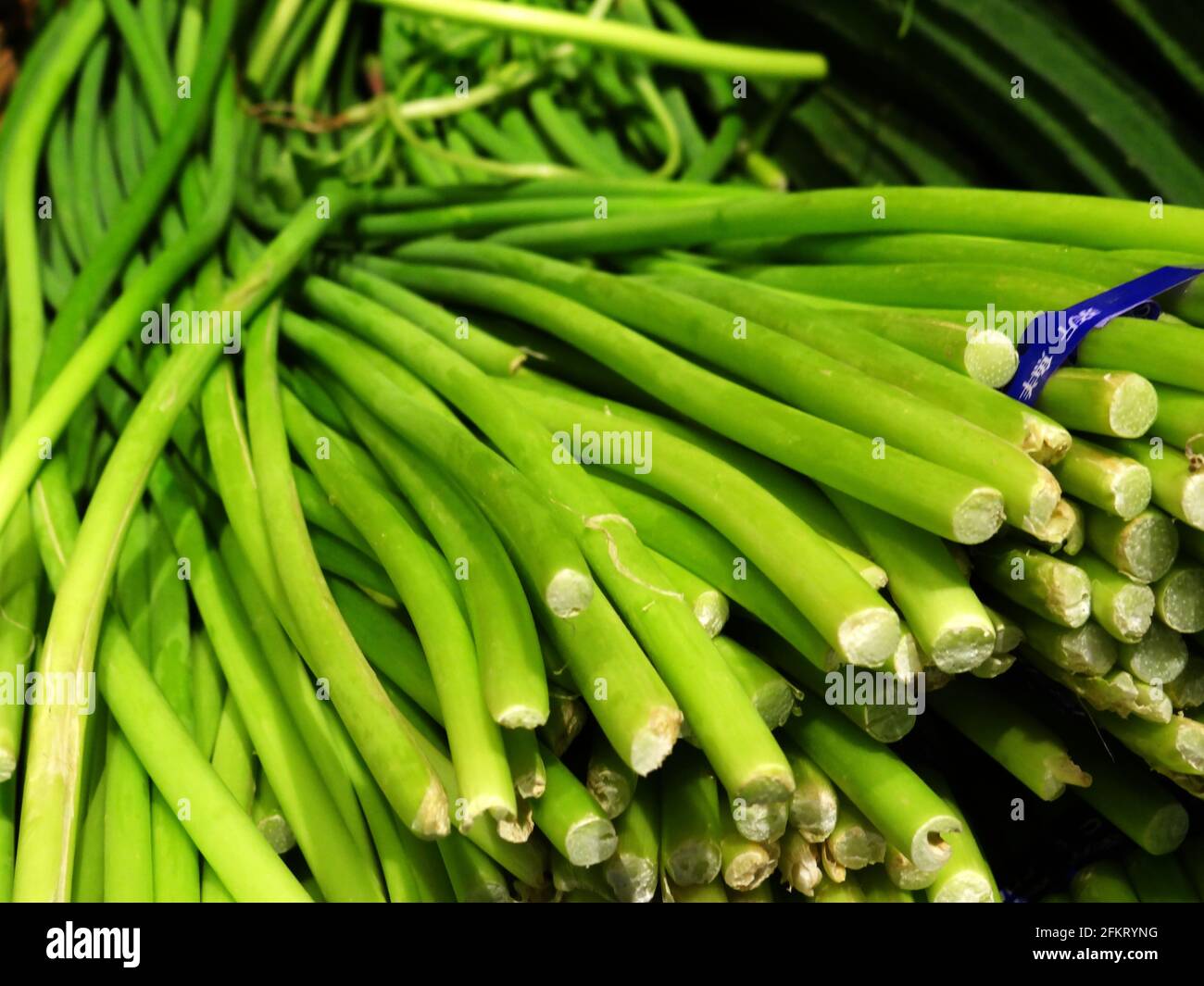 Fresh garlic sprouts Stock Photo - Alamy